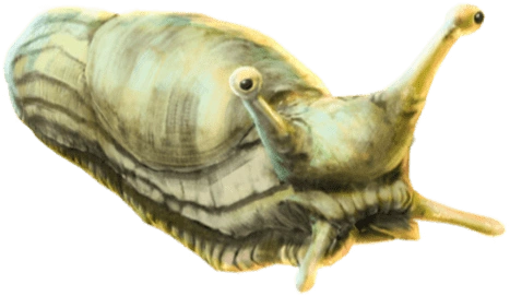 Flesh-Eating Slug | Harry Potter Wiki | Fandom