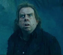 Image - Peter Pettigrew Profile.png | Harry Potter Wiki | FANDOM ...