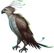 Augurey | Harry Potter Wiki | Fandom