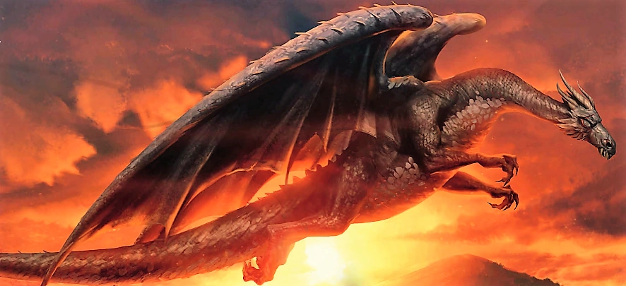 Drachen | Harry-Potter-Lexikon | Fandom