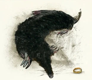 Niffler | Harry Potter Books Wikia | Fandom