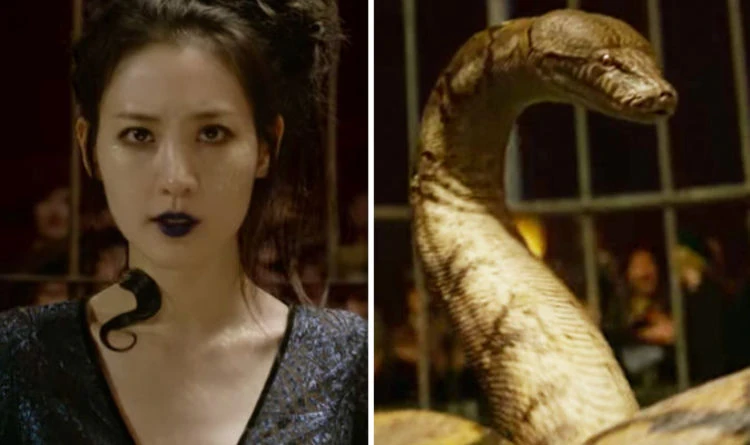 Nagini | Harrypotterfanczech Wiki | Fandom