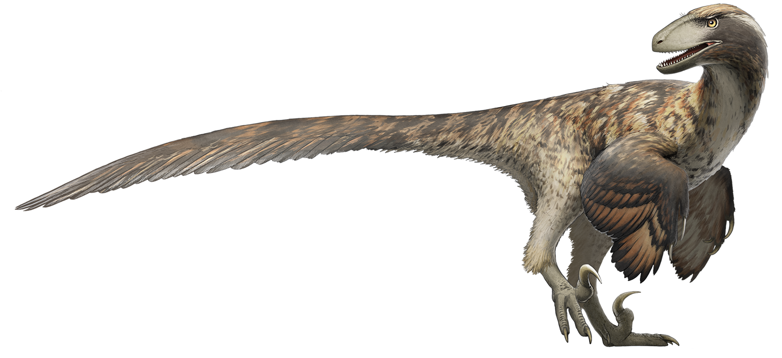 Deinonychus Lord Caesar Harry Potter Fanon Wiki Fandom