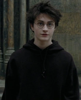Harry Potter (DM) | Harry Potter Fanon Wiki | Fandom