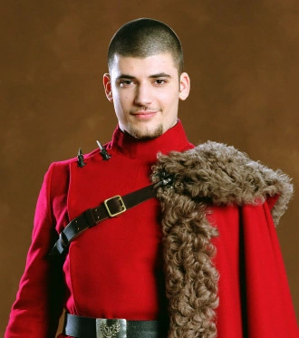 Viktor Krum | Harry Potter VN Wiki | FANDOM powered by Wikia