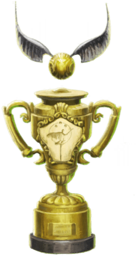 Quidditch World Cup | Harry Potter: Wizards Unite Wiki | Fandom