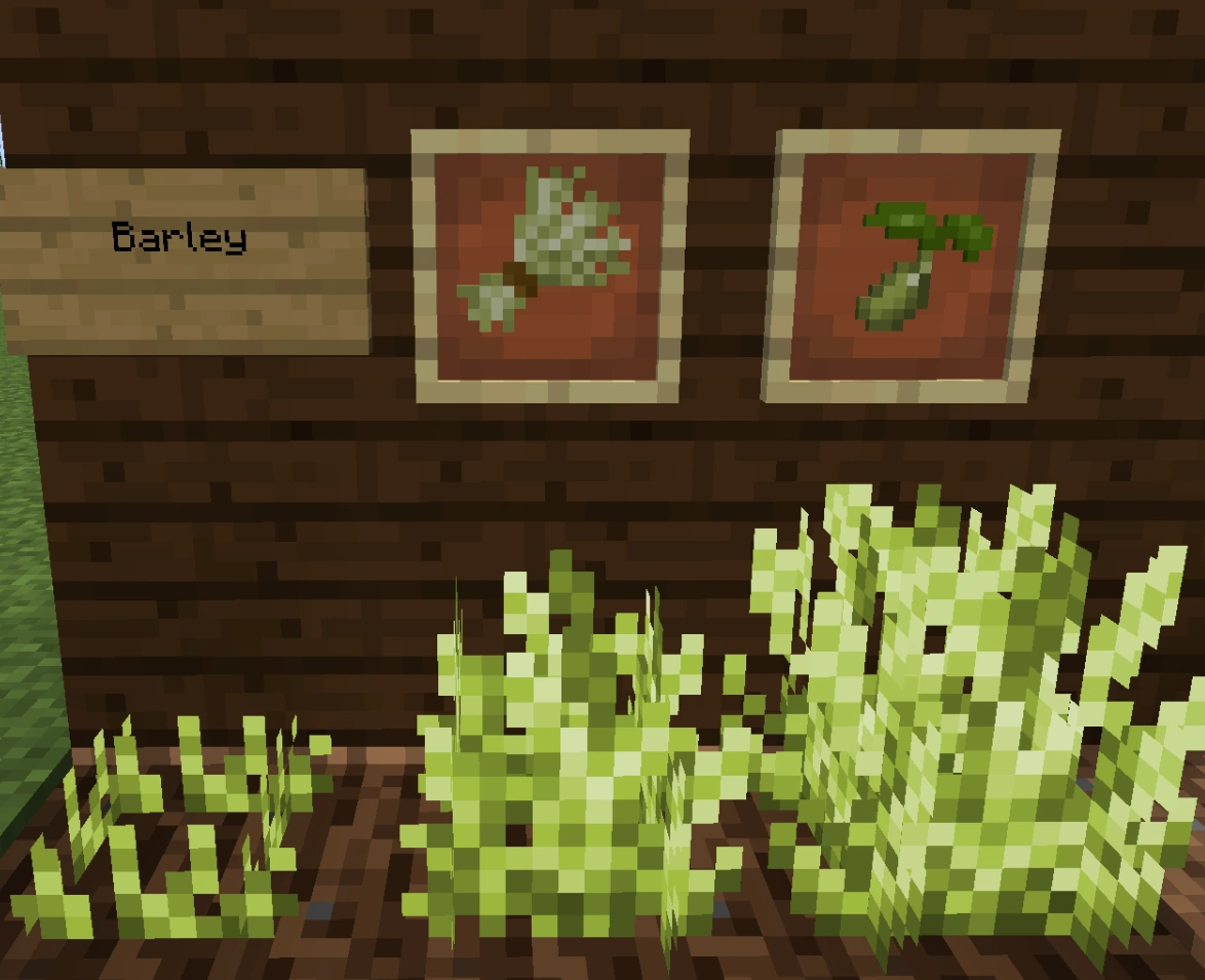 Barley | HarvestCraft Wiki | Fandom
