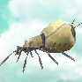 Spider | Rune Factory Wiki | Fandom