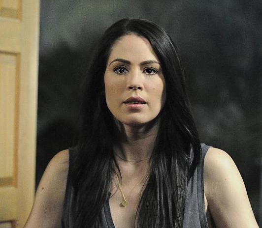 Image - Catherine Rollins DP.png | Hawaii Five-O Wiki | FANDOM powered ...