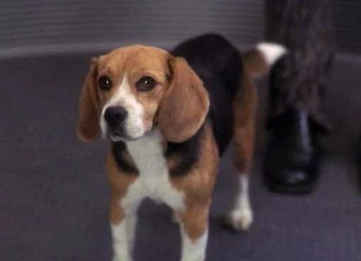 Porthos | Headhunter's Holosuite Wiki | Fandom