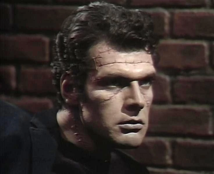 Adam Collins | Headhunter's Horror House Wiki | FANDOM powered by Wikia