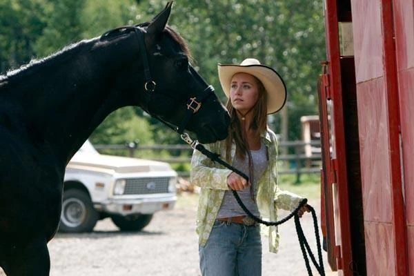 After the Storm | Heartland Wiki | Fandom
