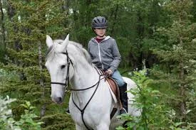 Phoenix | Heartland Wiki | Fandom