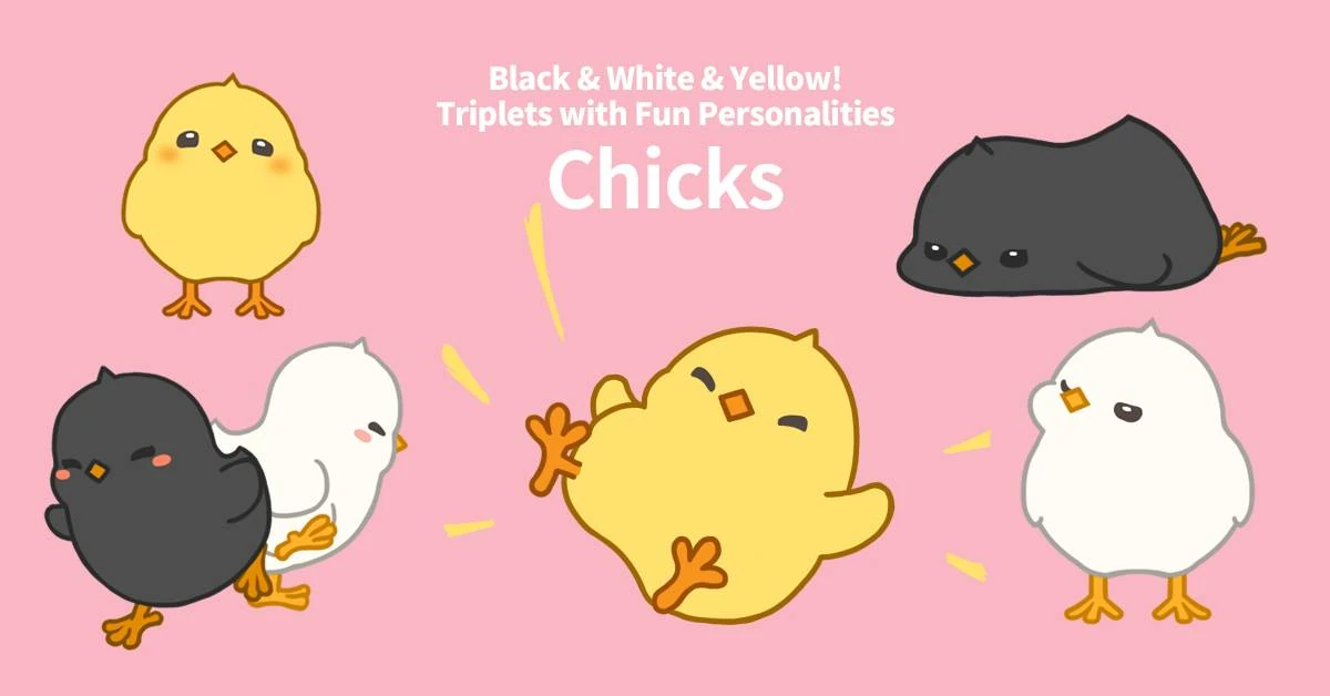 Image - Chick.jpg | Hellopet Wiki | FANDOM powered by Wikia