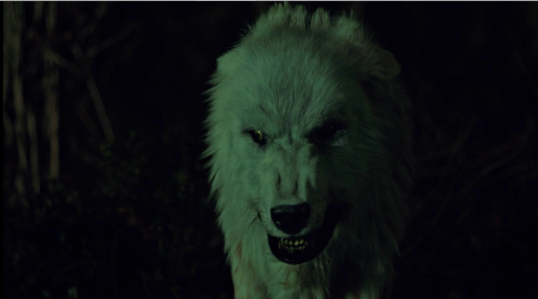 Category:Main Character | Hemlock Grove Wiki | Fandom