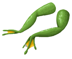 Image - Frogs-Legs-Sprite.png | Here Be Monsters Wiki | FANDOM powered ...
