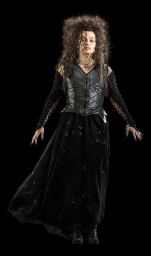 Bellatrix Lestrange | Heroes and Villains Wiki | Fandom