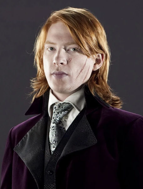 Bill Weasley | Heroes and Villains Wiki | Fandom