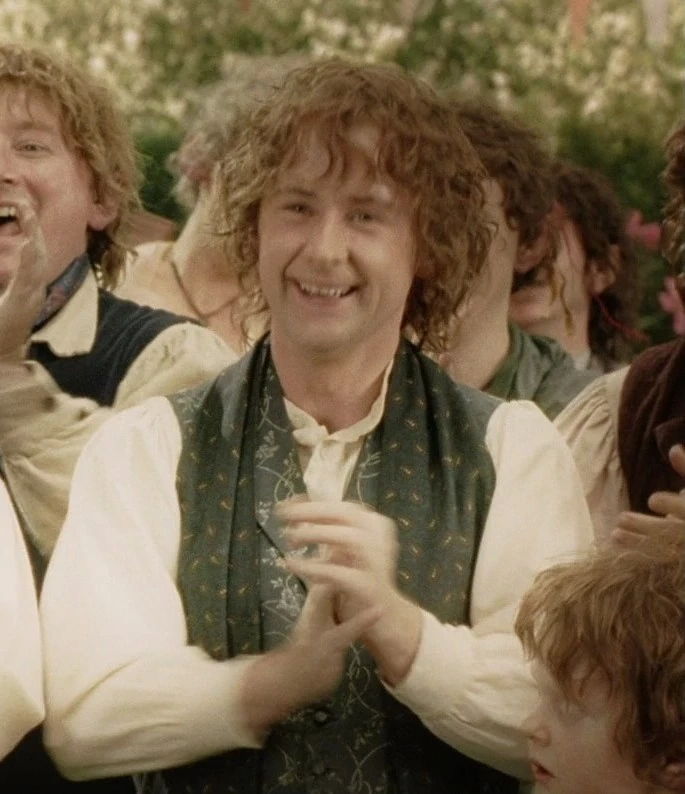 Pippin Took | Heroes and Villains Wiki | Fandom