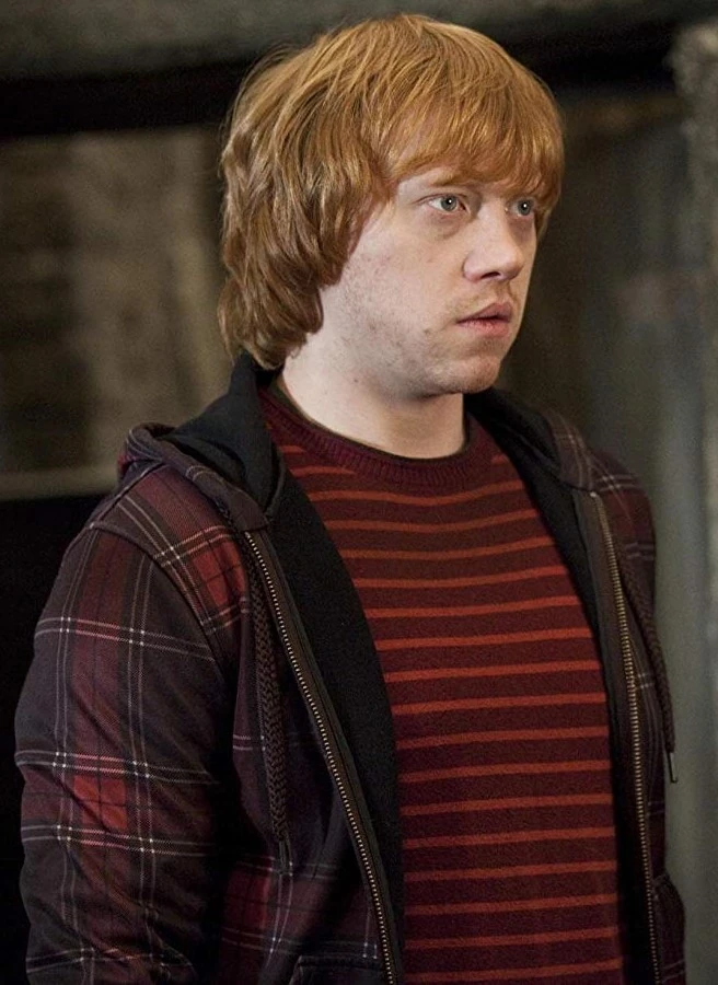Ron Weasley | Heroes and Villains Wiki | Fandom