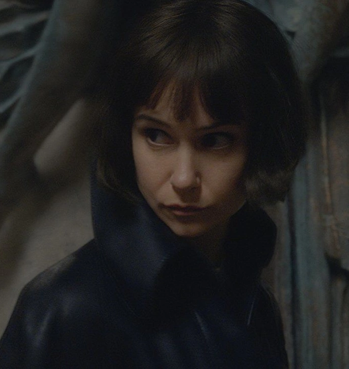 Tina Goldstein | Heroes and Villains Wiki | FANDOM powered by Wikia