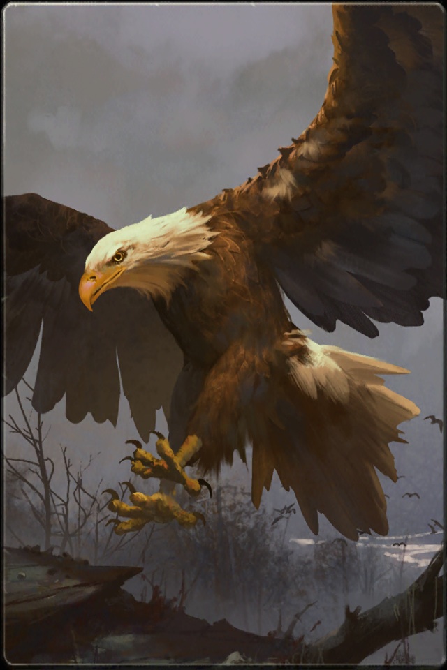 Bald Eagle Heroes Of Camelot Wiki Fandom Powered By Wikia