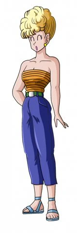 Panchy (Dragon Ball Series) | Heroes unite Wikia | FANDOM powered by Wikia