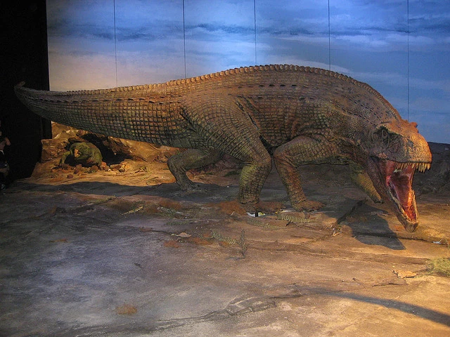 Image - Fasolasuchus.jpg | Heroes of the Multiverses Wiki | FANDOM ...