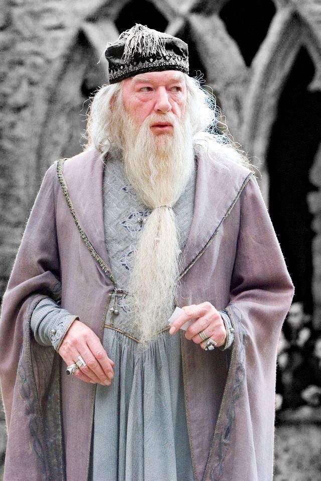 Albus Dumbledore | Wiki Héros | Fandom Albus Dumbledore | Wiki Héros | Fandom