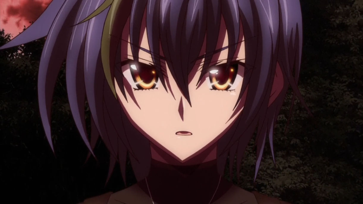 Imagen - Xenovia anime.png | Wiki High School DxD | FANDOM powered by Wikia