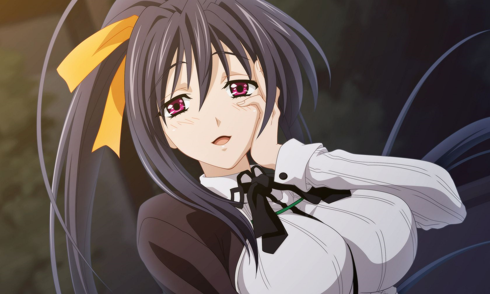 Bild Akeno Himejima Closeup Png Highschooldxd Wiki Fandom Powered