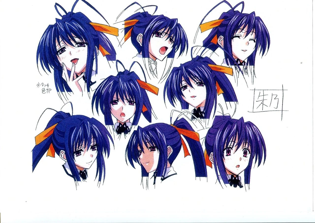 Akeno Paimon High School Dxd Wiki Fandom