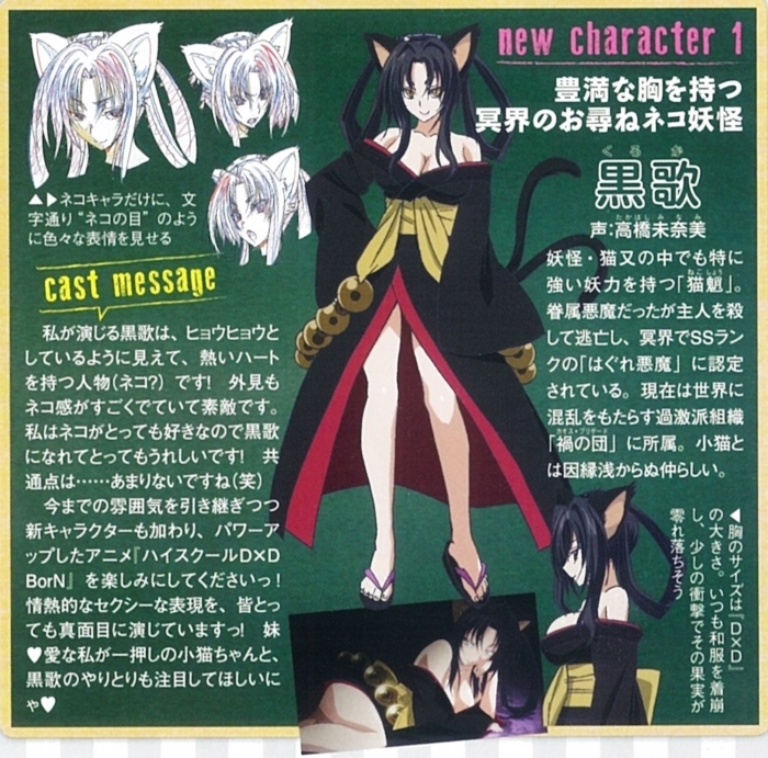 Image Chalkboard Description Kuroka High School Dxd Wiki Fandom Powered By Wikia