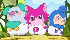 Cocotama | Himitsu no Cocotama Wikia | Fandom