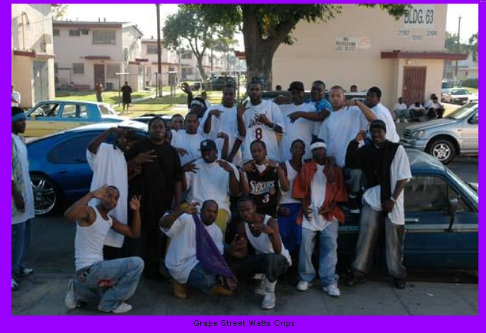 Grape Street Watts Crips | Hip-Hop Database Wiki | FANDOM powered by Wikia