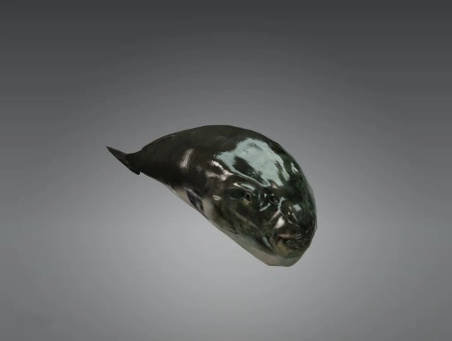 Fish | Hitman Wiki | Fandom