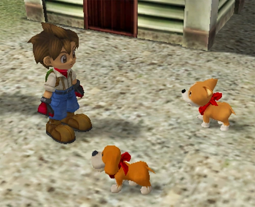 Dog (AWL) | The Harvest Moon Wiki | FANDOM powered by Wikia