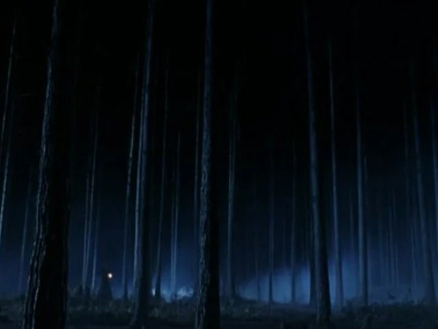 Forbidden Forest | Hogwarts Role-Playing Wiki | FANDOM powered by Wikia