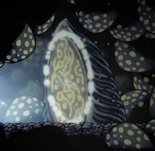 Señor Seta | Hollow Knight Wiki | Fandom