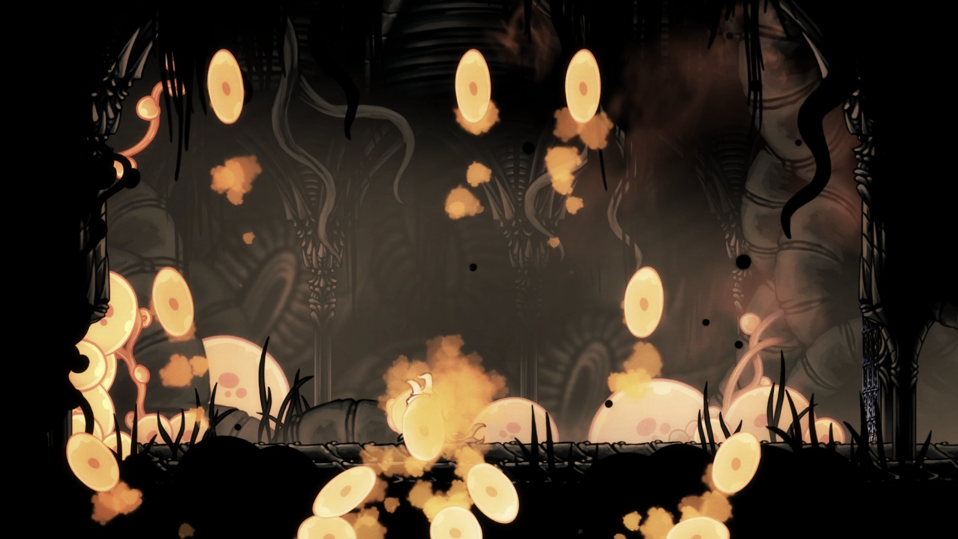 Receptáculo Roto | Hollow Knight Wiki | Fandom