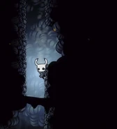 Señor Seta | Hollow Knight Wiki | Fandom