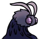 Moths | Hollow Knight Wiki | FANDOM powered by Wikia