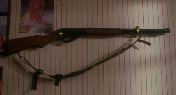 Buzz's BB gun | Home Alone Wiki | Fandom