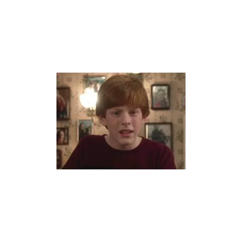 Jeff McCallister | Home Alone Wiki | FANDOM powered by Wikia