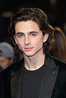 Timothée Chalamet | Homeland TV Wiki | Fandom