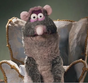 Rattus Rattus | Horrible Histories Wiki | FANDOM powered by Wikia