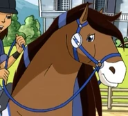 Bailey Handler | Horseland Wiki | FANDOM powered by Wikia