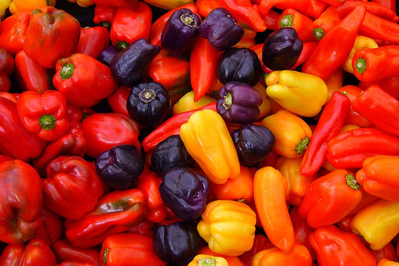 Capsicum annuum | Horticulture and Soil Science Wiki | FANDOM powered ...