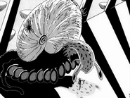 Ventricosus | Houseki no Kuni Wiki | Fandom