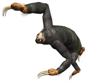 Fool | The Wiki of the Dead | Fandom